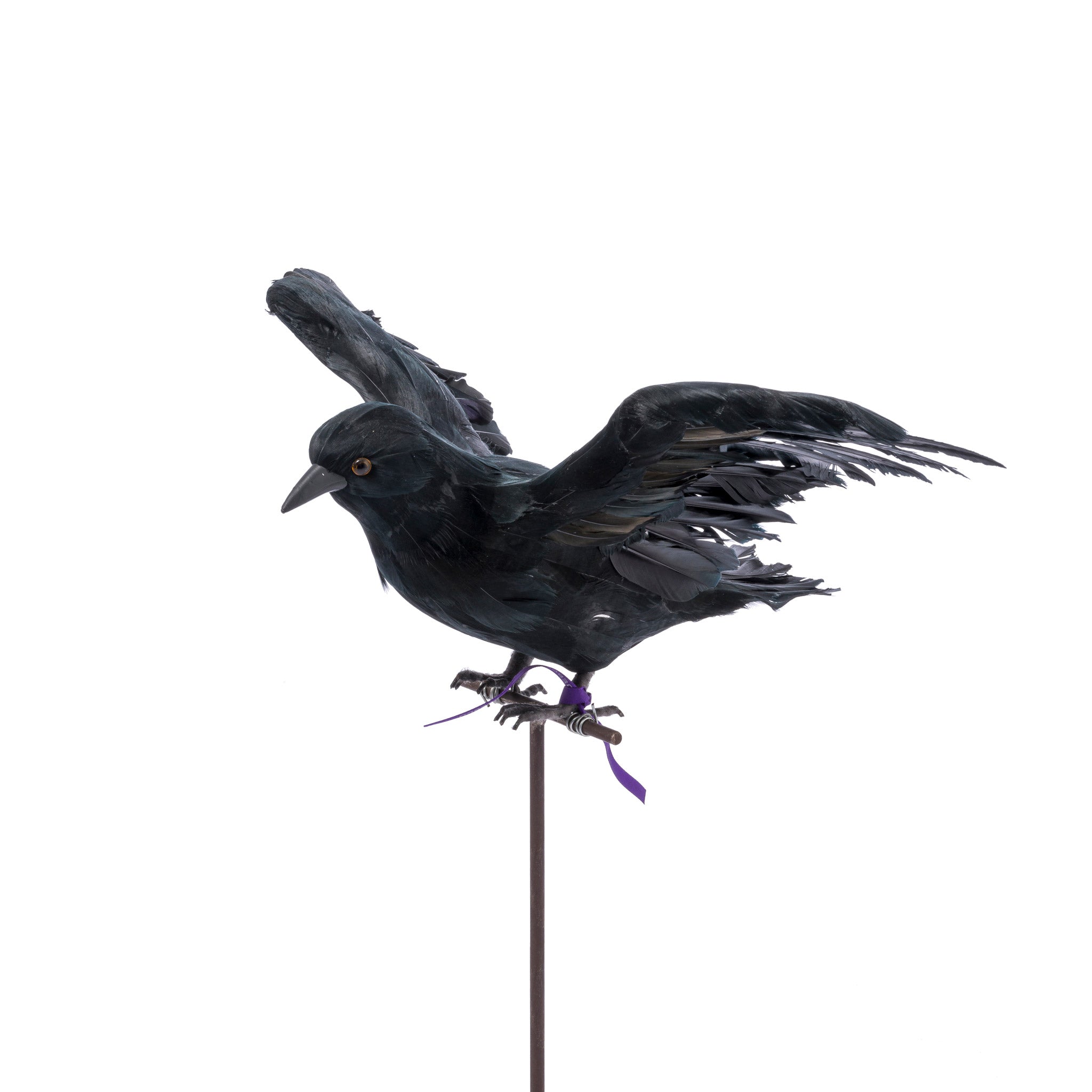 ARTIFICIAL BIRDS Flying Crow – PUEBCO ONLINE STORE