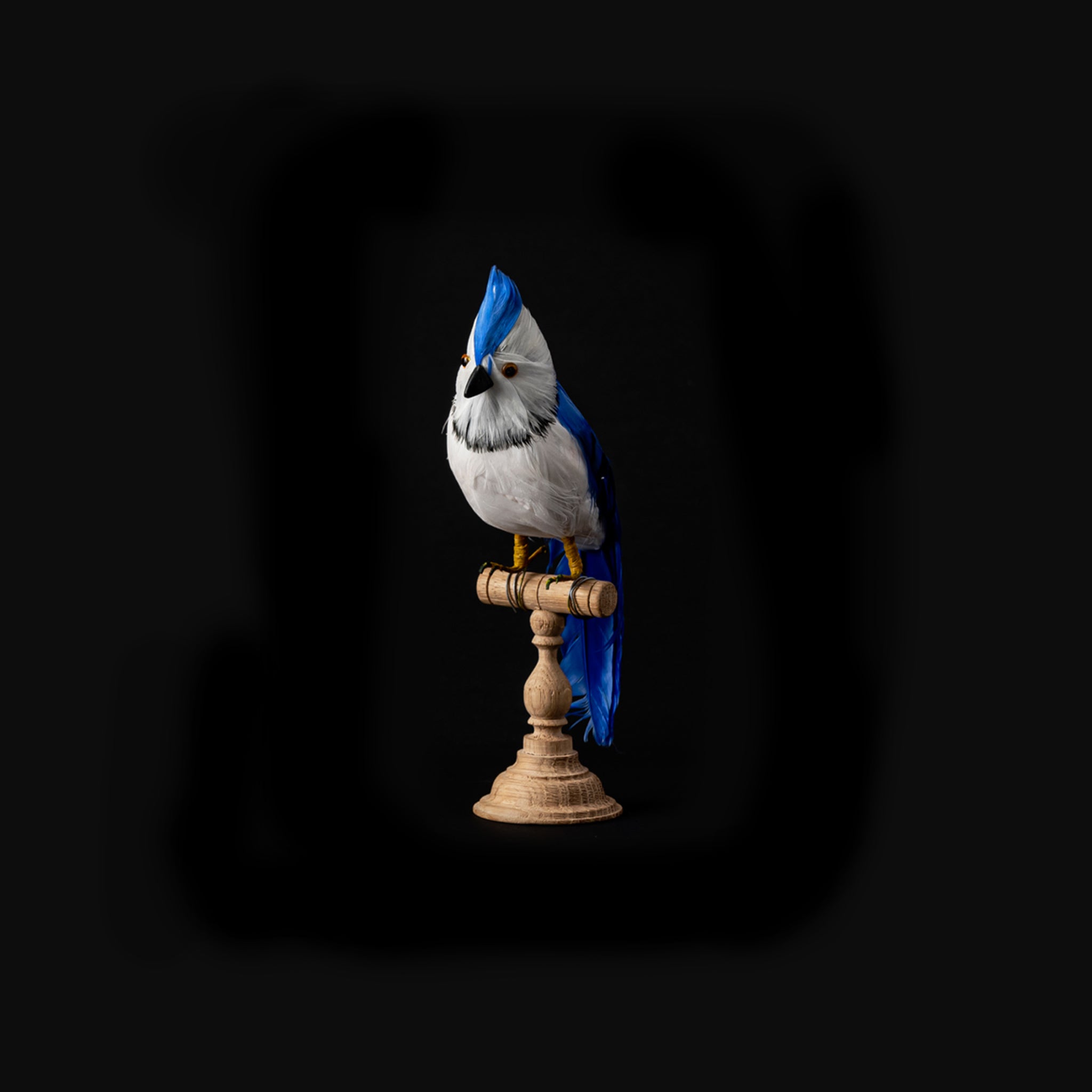 ARTIFICIAL BIRDS Blue Jay – PUEBCO ONLINE STORE