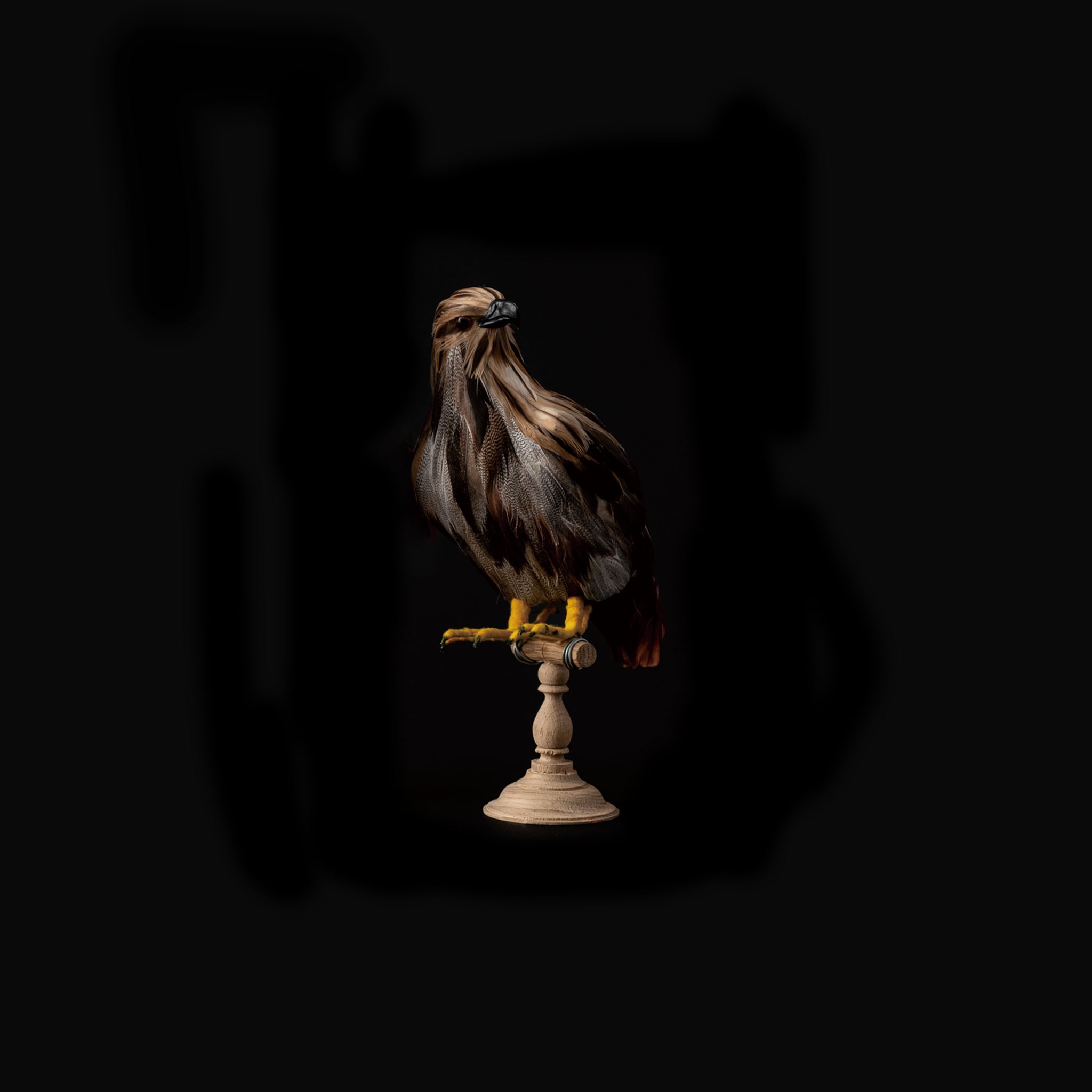 ARTIFICIAL BIRDS Eagle / Small – PUEBCO ONLINE STORE
