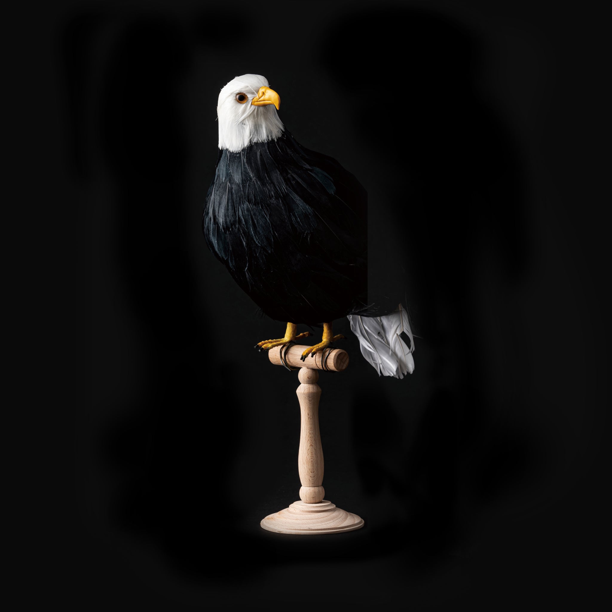 ARTIFICIAL BIRDS Hawk / Large – PUEBCO ONLINE STORE