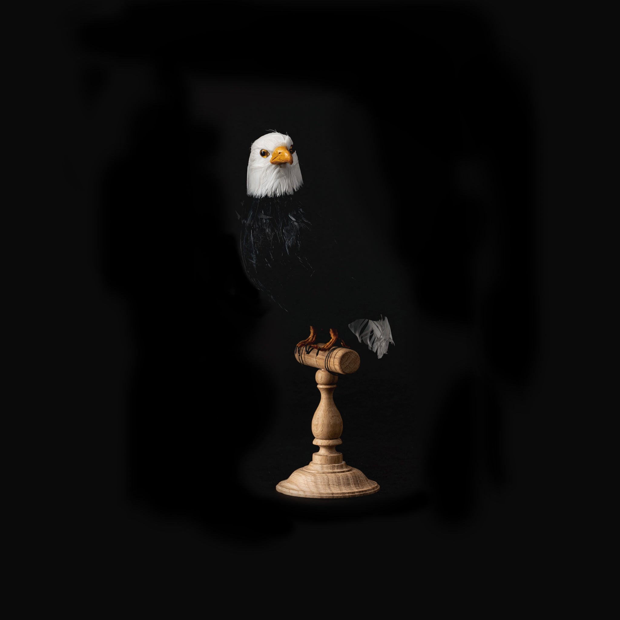 ARTIFICIAL BIRDS Hawk / Small – PUEBCO ONLINE STORE