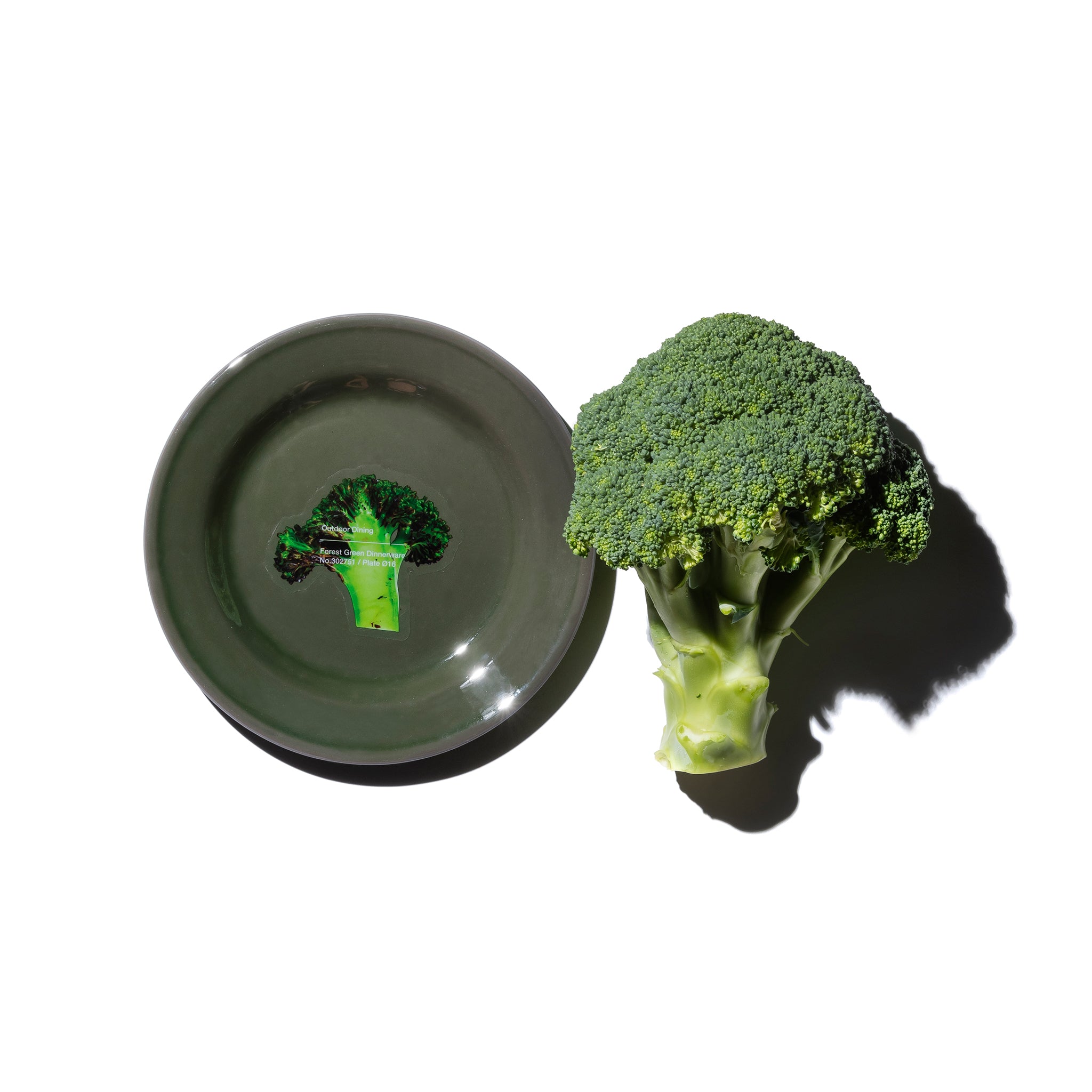 FOREST GREEN DINNERWARE Plate / ø16 – PUEBCO ONLINE STORE