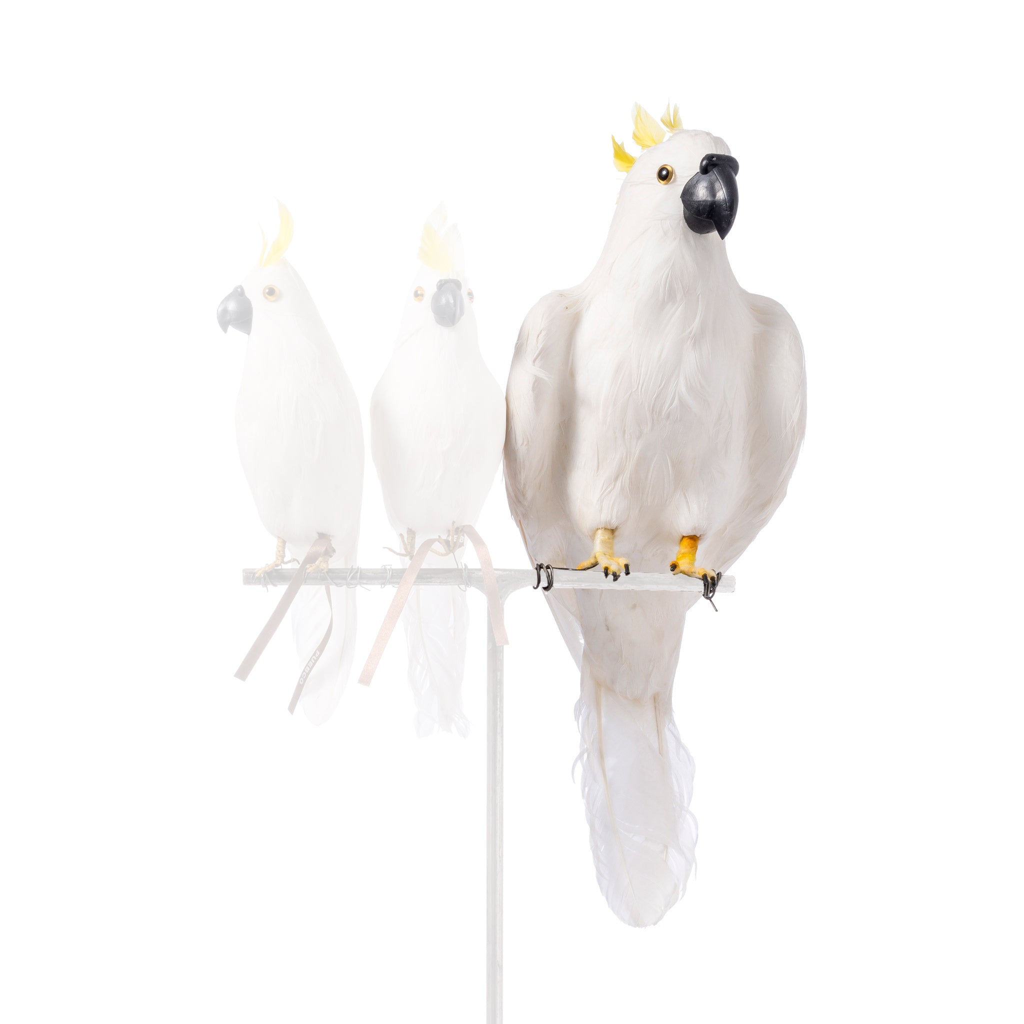 ARTIFICIAL BIRDS Parrot / Large – PUEBCO ONLINE STORE