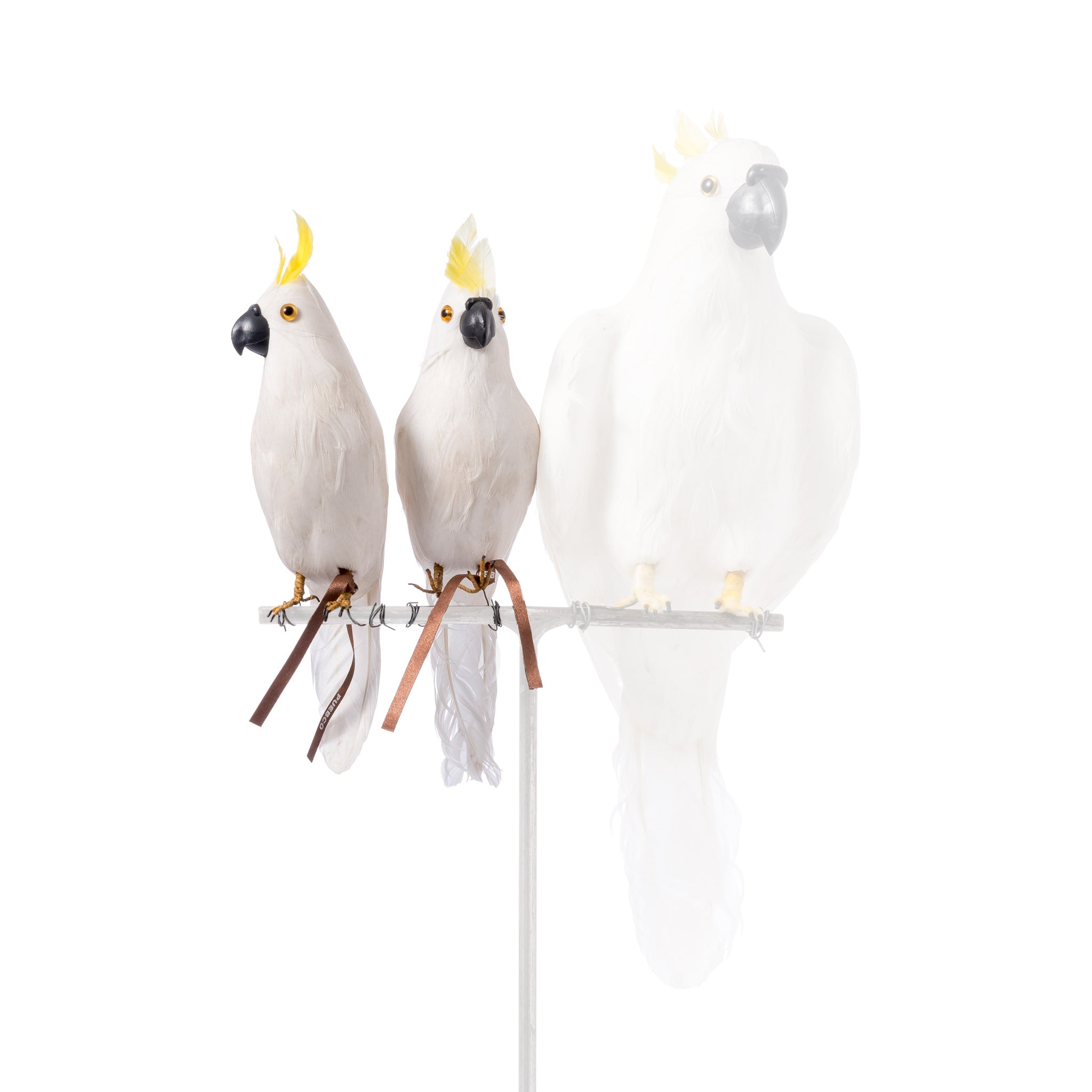 ARTIFICIAL BIRDS Parrot / Small – PUEBCO ONLINE STORE